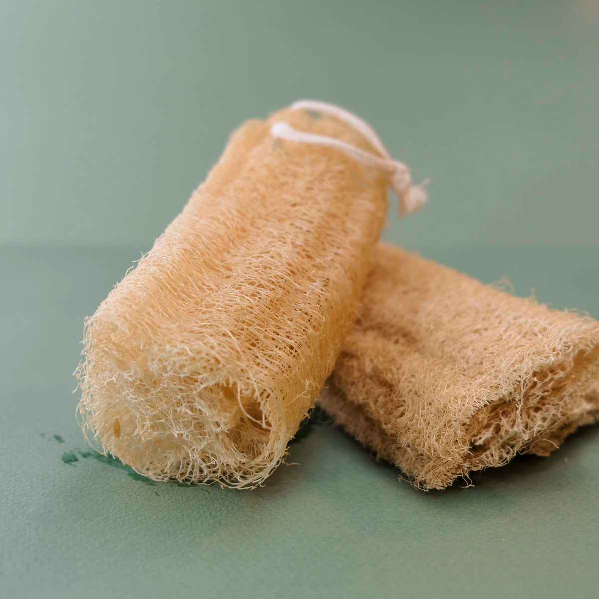 Loofah – Re-Up Refills