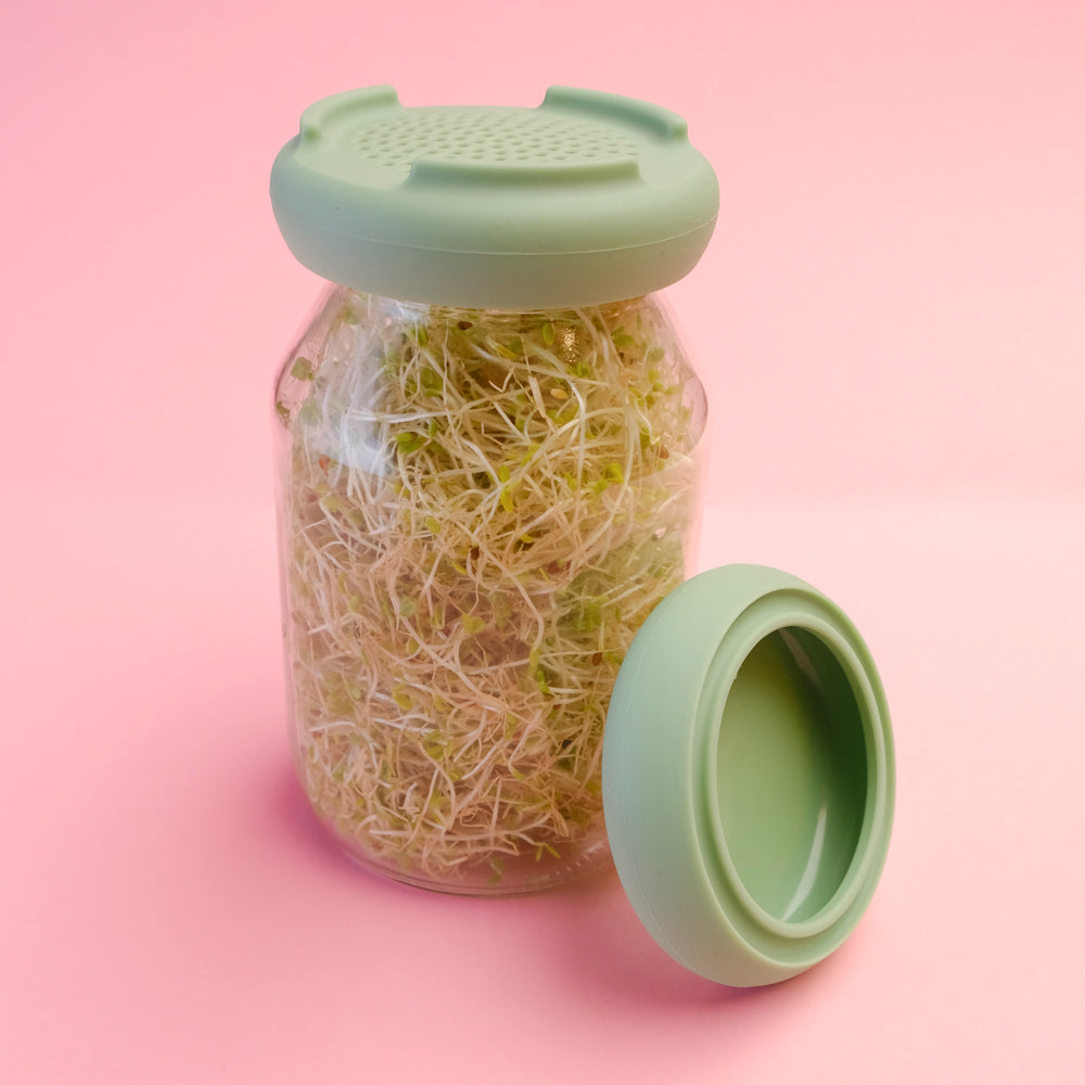 Reusable Sprouting Seed Lid – Re-Up Refills