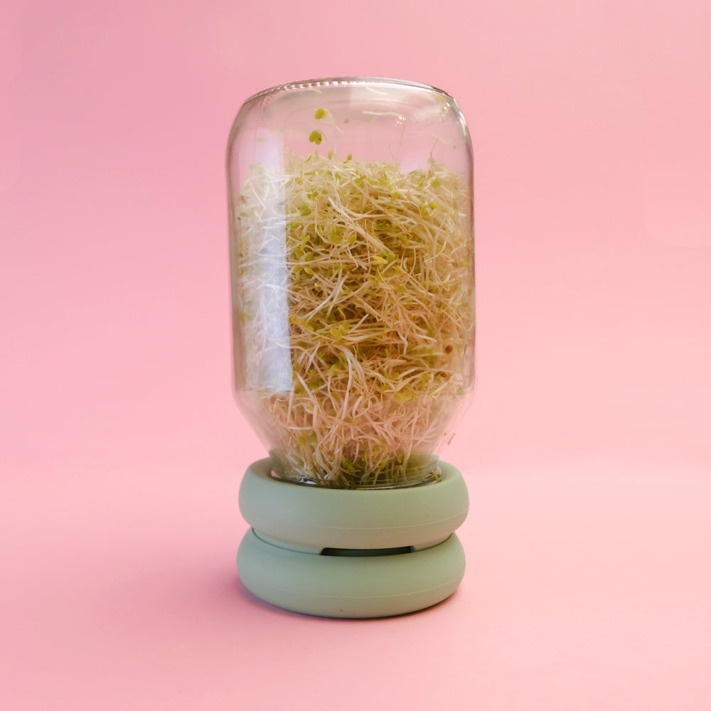 Reusable Sprouting Seed Lid – Re-Up Refills
